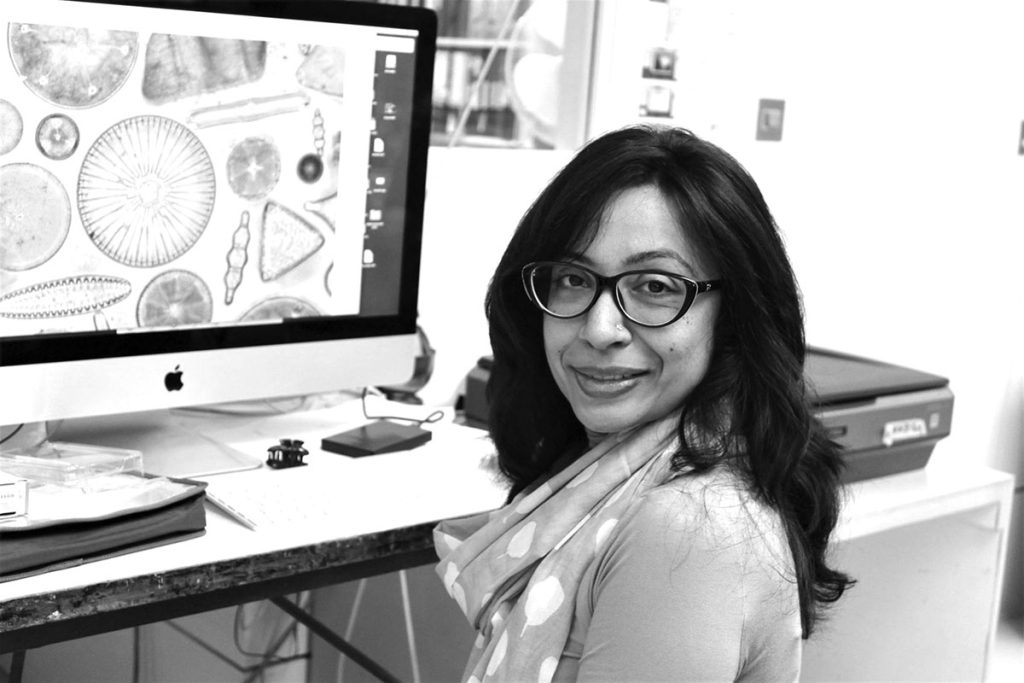 Gallery Espace — Sonia Mehra Chawla